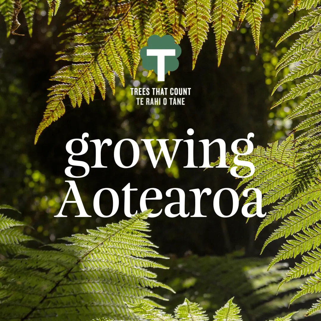 Greeting Cards – Refill Nation