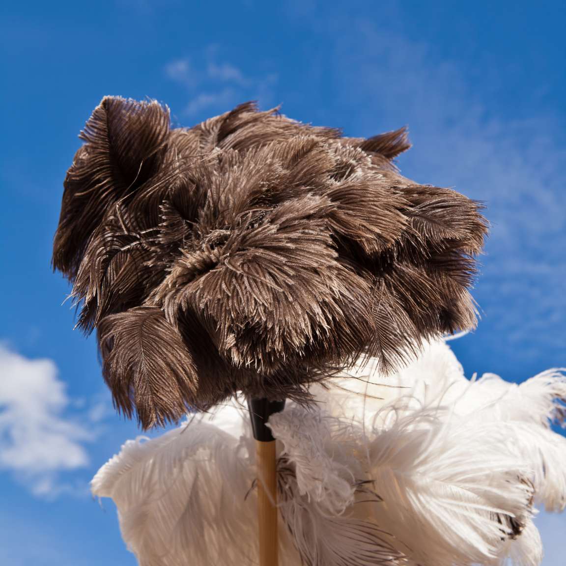 Sustainable Cleaning – Refill Nation