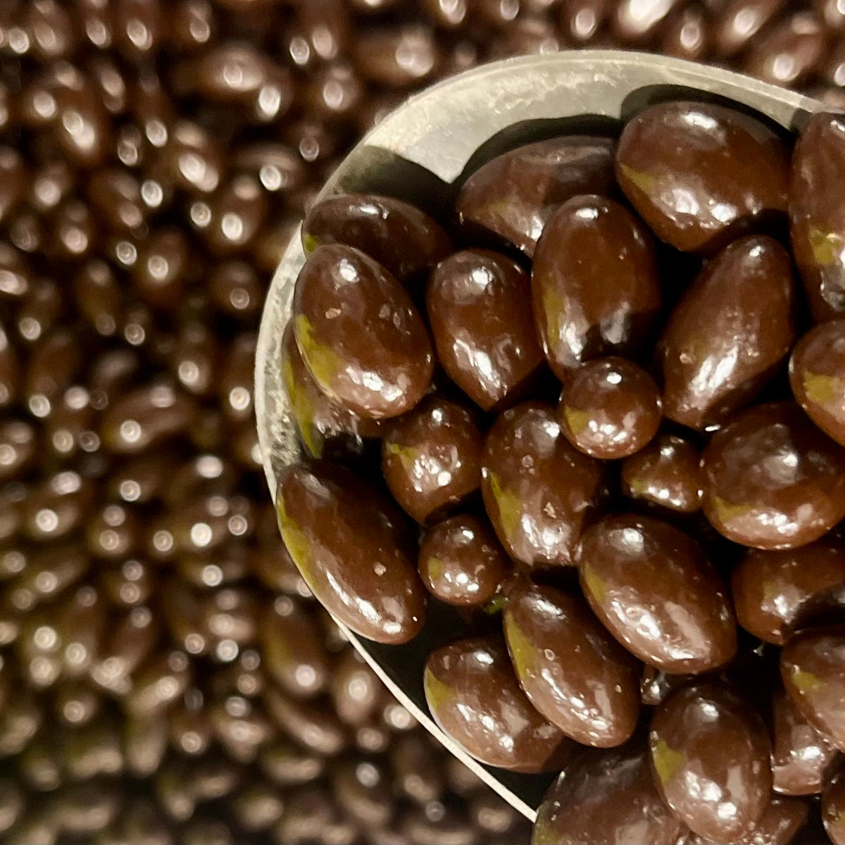 Dark Chocolate Goji Berries – Refill Nation