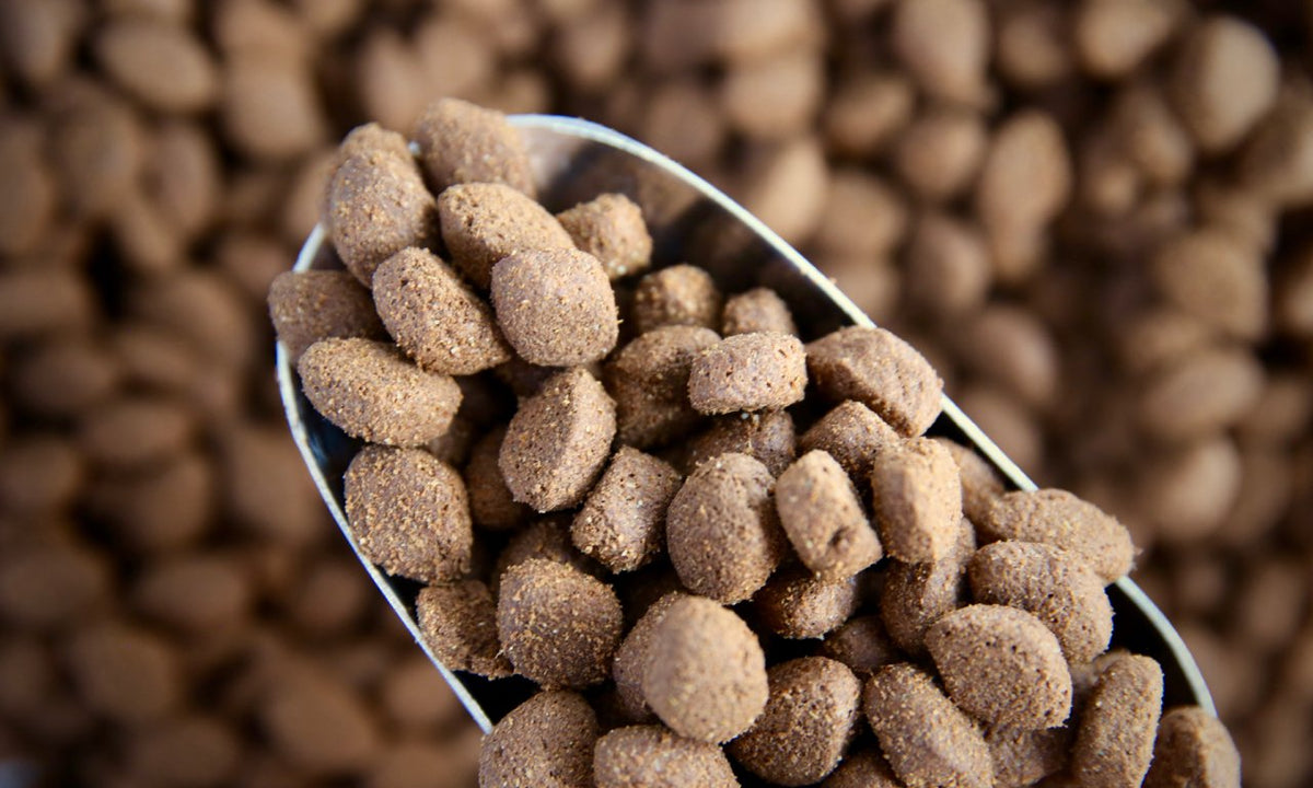 Dog Food, Complete – Refill Nation